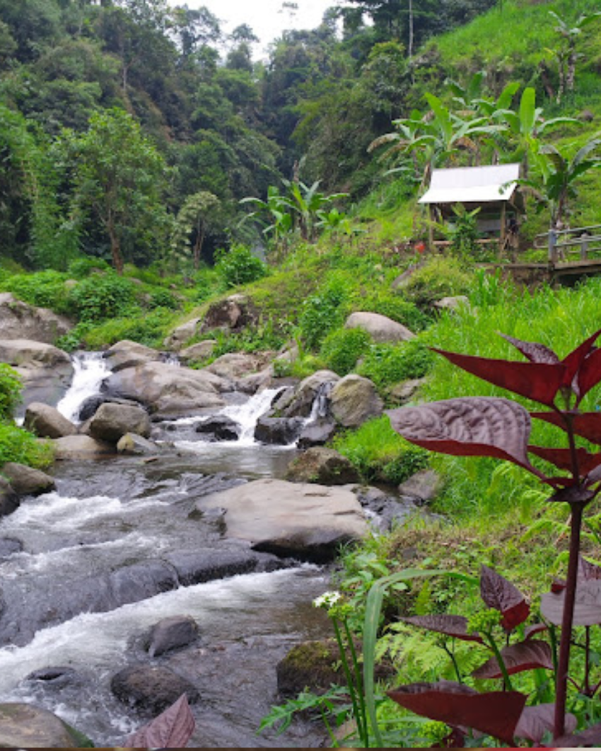 Rekomendasi Wisata Coban Jahe yang Populer dan Wajib Dikunjung – Info ...